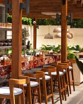 TABAC+ - Updated December 2025 - 298 Photos & 157 Reviews - 2215 ...