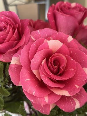 FORTINOS - Updated December 2025 - 487 Queen Street S, Bolton, Ontario ...