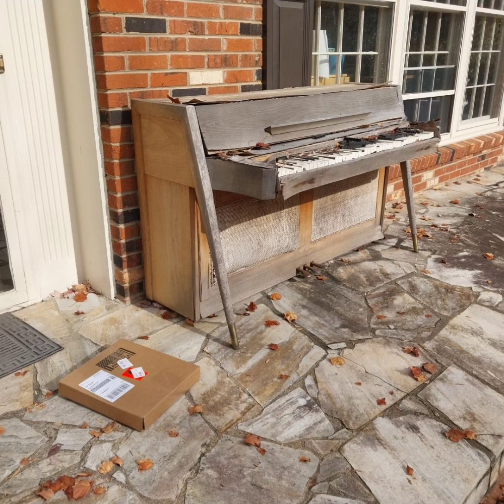 JUNK DOGS TRASH REMOVAL - Updated September 2025 - 41 Photos ...