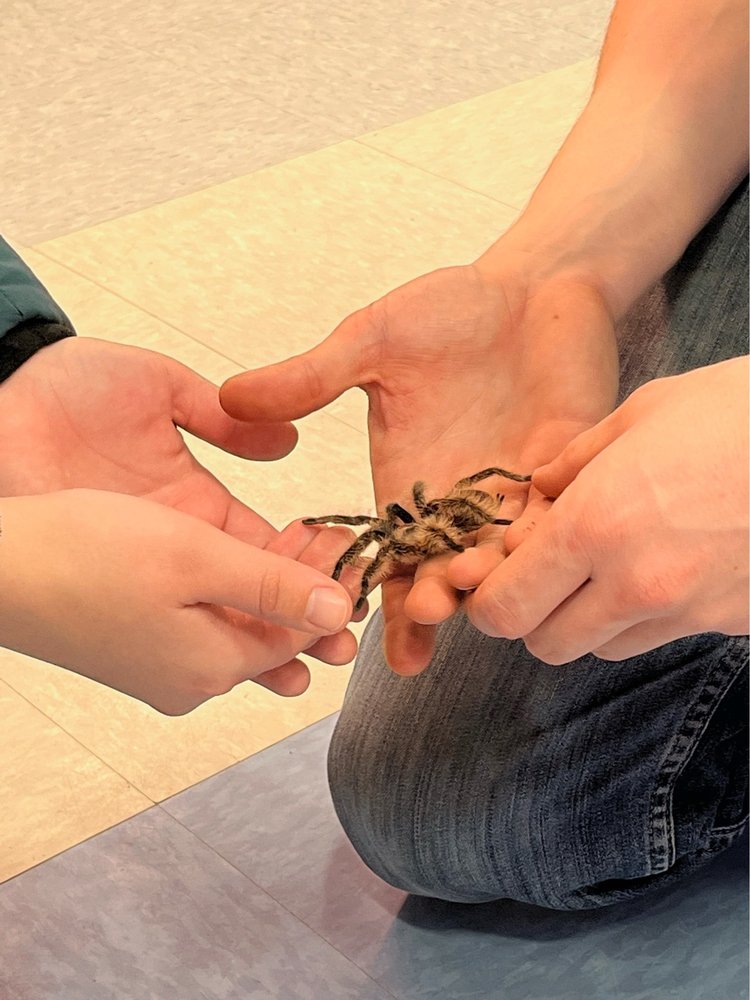 ENTOMICA - Updated October 2025 - 14 Photos - 50 Pim Street, Sault Ste ...