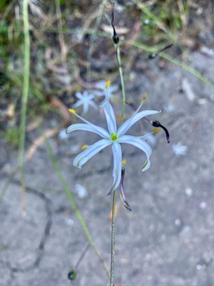 BERKELEY FIRE TRAILS - 421 Photos & 108 Reviews - Centennial Dr ...