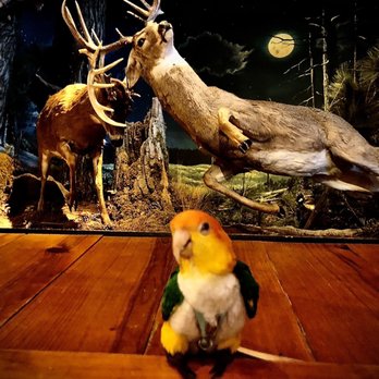 BASS PRO SHOPS - Updated January 2026 - 45 Photos & 30 Reviews - 5001 ...