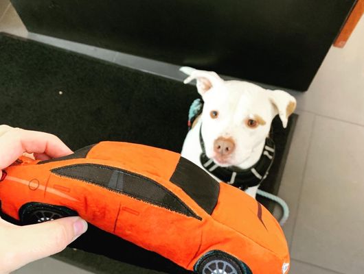 DIABLO SUBARU OF WALNUT CREEK - Updated September 2025 - 141 Photos ...