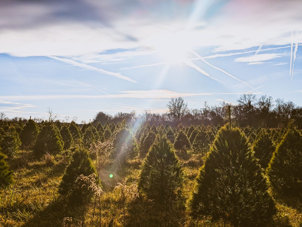 EVERGREEN ACRES - Updated July 2025 - 26 Photos & 14 Reviews - 12801 ...