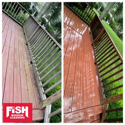 FISH WINDOW CLEANING - Updated October 2025 - 66 Photos & 59 Reviews ...