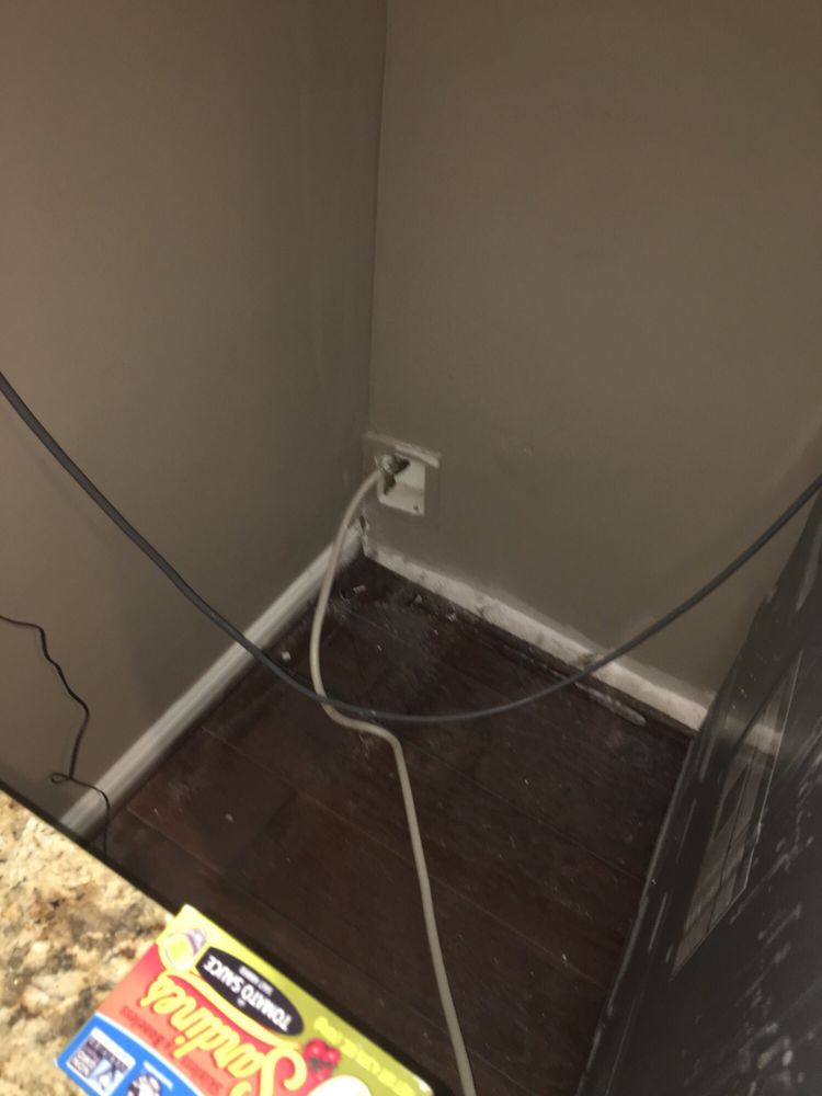 WEIR PEST SERVICES - Updated November 2025 - 12 Photos & 13 Reviews ...