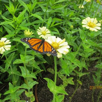 THUYA GARDEN AND LODGE - Updated July 2024 - 37 Photos & 14 Reviews ...