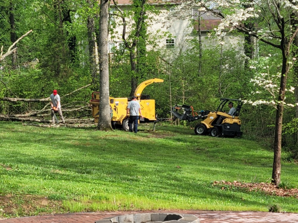 RUSH TREE SPECIALIST - Updated December 2025 - 12 Photos & 10 Reviews ...