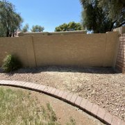 SAM THE TREE GUY - 19 Photos & 12 Reviews - Scottsdale, Arizona - Tree ...