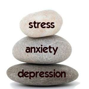 CANNABIS CONNECTION OF WEST SPRINGFIELD - Updated October 2025 - 1102 ...