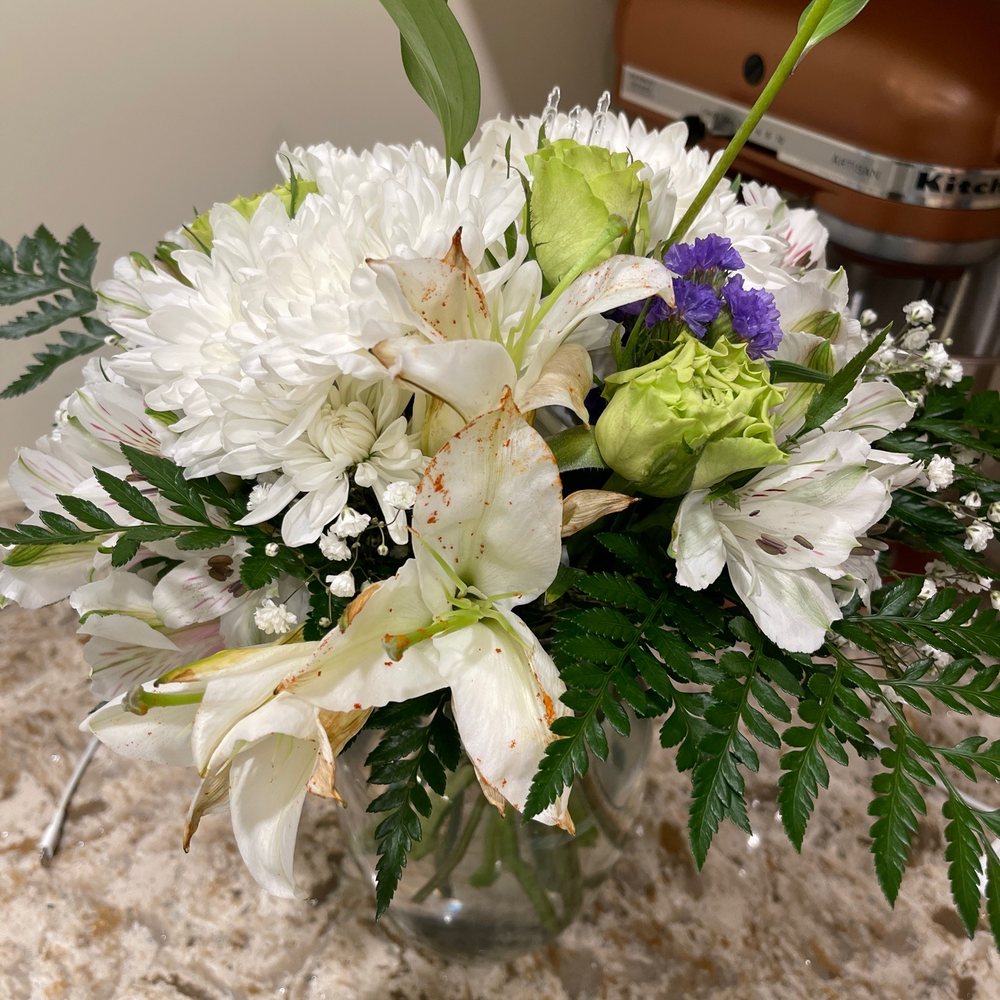 Flowers In Ocala Fl | Best Flower Site