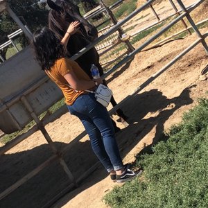 BLANCO BROTHERS RANCH - CLOSED - 70 Photos & 47 Reviews - 2181 ...