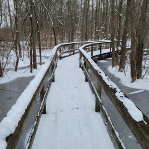 STIGLMEIER PARK - Updated December 2025 - 192 Photos & 40 Reviews - 500 ...