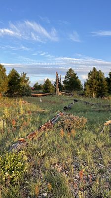 CAMP GERONIMO - Updated July 2025 - 2599 W Webber Creek Rd, Payson ...