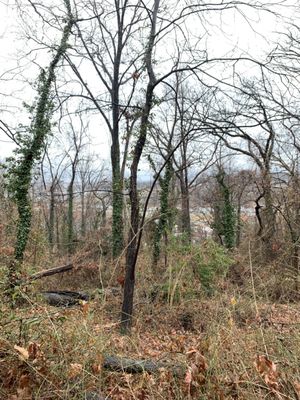 FORT SCOTT PARK - Updated January 2025 - 29 Photos - 2800 S Fort Scott ...