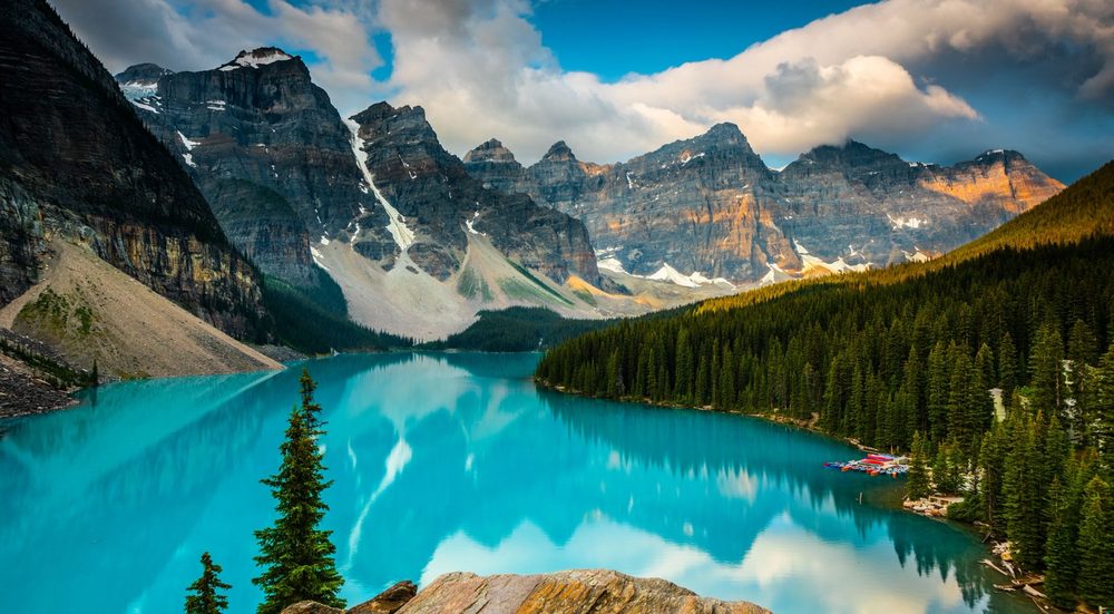 JOSH O’BRIEN - REAL BROKER - Updated July 2025 - Contact Agent - 700 ...