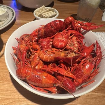 THE FISH COMPANY - Updated February 2025 - 712 Photos & 489 Reviews ...