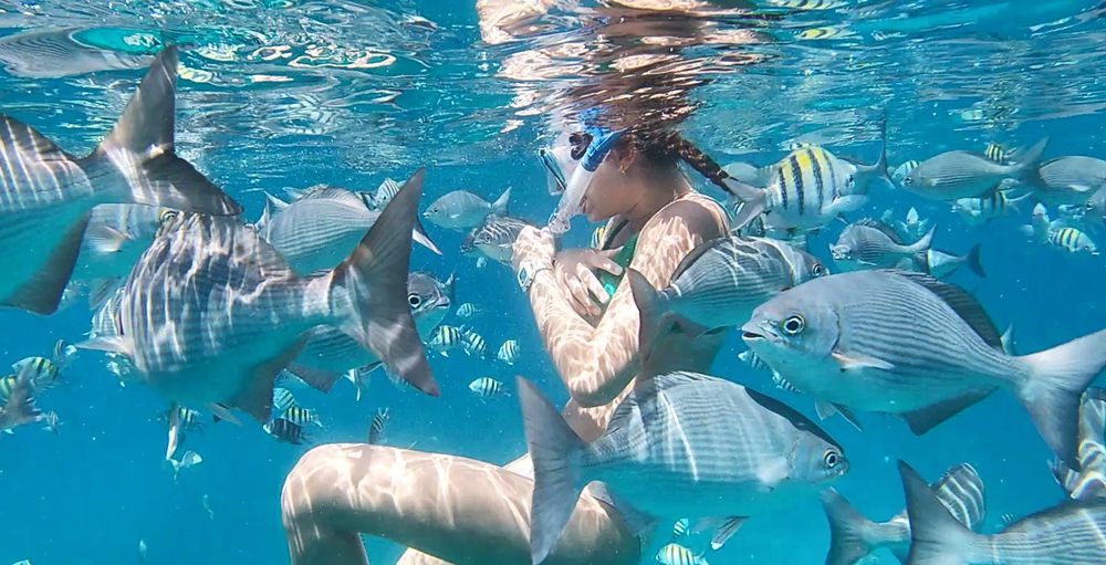 KEYS OCEAN DREAMS - Updated December 2025 - 23 Photos - Islamorada ...