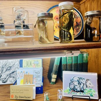 THE INSECT ASYLUM - Updated December 2025 - 65 Photos & 15 Reviews ...