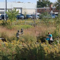 ADVOCATE LUTHERAN GENERAL HOSPITAL - 62 Photos & 231 Reviews - 1775 ...