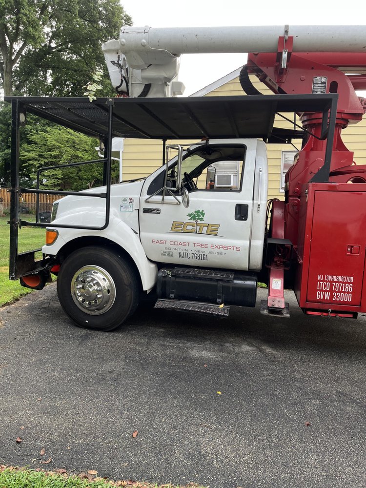 EAST COAST TREE EXPERTS - Updated April 2026 - 256 Photos & 24 Reviews ...