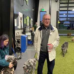 PAWS & PINTS - 64 Photos & 26 Reviews - 6218 Willowmere Dr, Des Moines ...