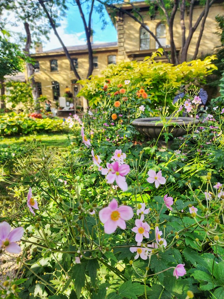 SANGER HOUSE GARDENS - Updated January 2026 - 30 Photos - 1823 N Palmer ...