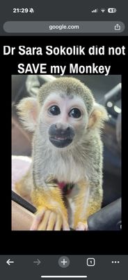 AVIAN AND EXOTIC ANIMAL CARE - Updated July 2025 - 102 Photos & 88 ...