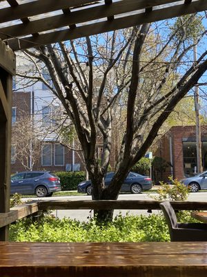 THE STATION - 279 Photos & 419 Reviews - 701 N Person St, Raleigh ...