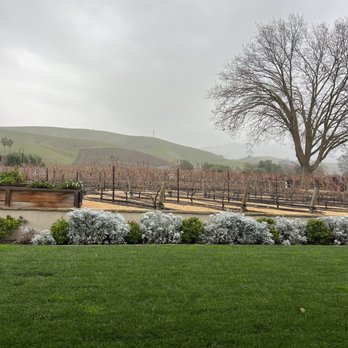 SHADOWBROOK WINERY - Updated April 2025 - 200 Photos & 124 Reviews - 1 ...