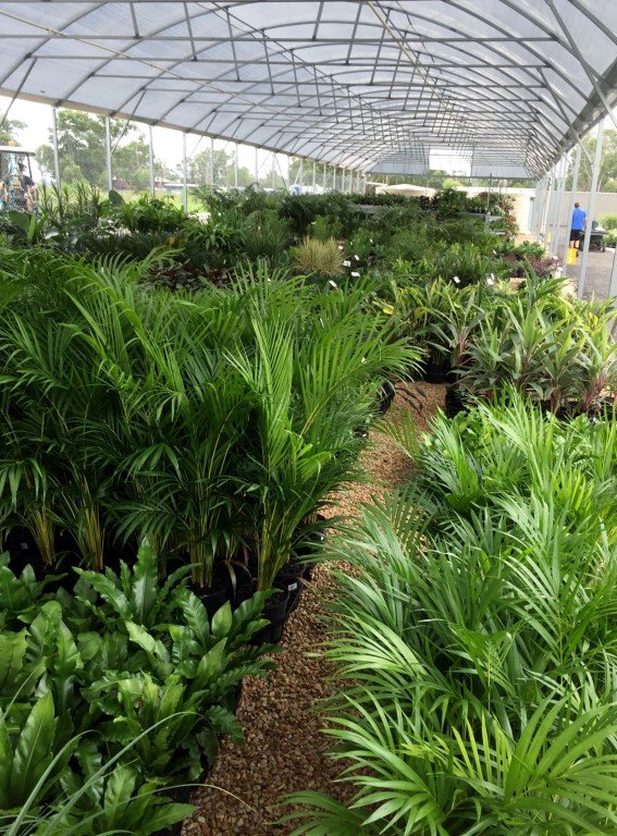 PLANTMARK VINEYARD - Updated November 2025 - 281 Windsor Rd, Vineyard ...