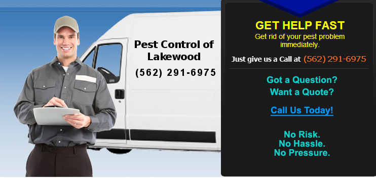 PEST CONTROL OF LAKEWOOD - Updated September 2024 - 671 Industry Ave ...