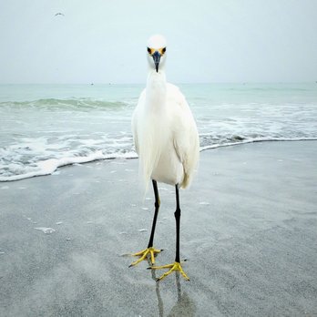 INDIAN ROCKS BEACH - Updated January 2025 - 658 Photos & 197 Reviews ...