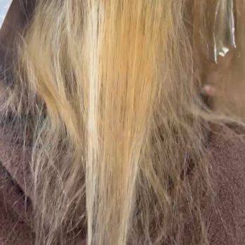 MUSART SALON - Updated January 2025 - 210 Photos & 31 Reviews - 5859 Fruitville Rd, Sarasota ...