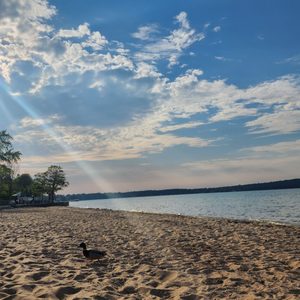INTERLOCHEN STATE PARK - Updated June 2025 - 31 Photos & 21 Reviews - M ...