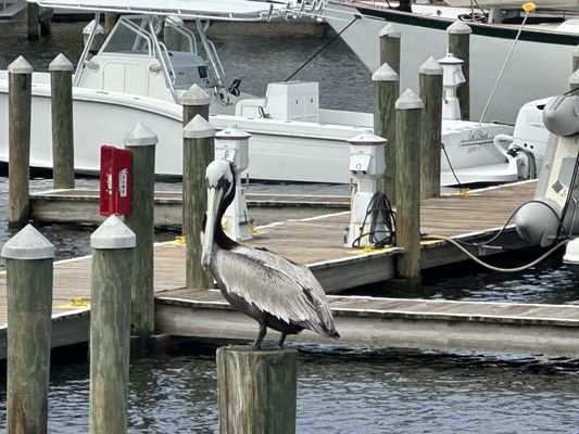 CASS CAY BAR AND RESTAURANT - Updated August 2025 - 99 Photos & 168 ...