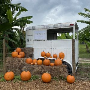 TINEZ FARMS - 225 Photos & 29 Reviews - 16405 SW 177th Ave, Miami, FL ...