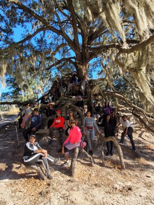 EDWARD MEDARD PARK - Updated September 2025 - 89 Photos & 38 Reviews ...