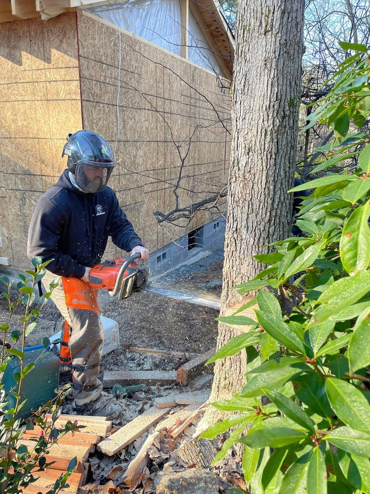 GEORGIA TREE MASTERS - Updated June 2025 - 11 Photos - 26 E Main St ...