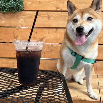 CHOMP - Updated June 2024 - 272 Photos & 314 Reviews - 200 S Main St ...