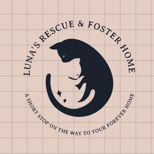 LUNA’S RESCUE AND FOSTER HOME - Updated July 2025 - 662 Noble Ave ...