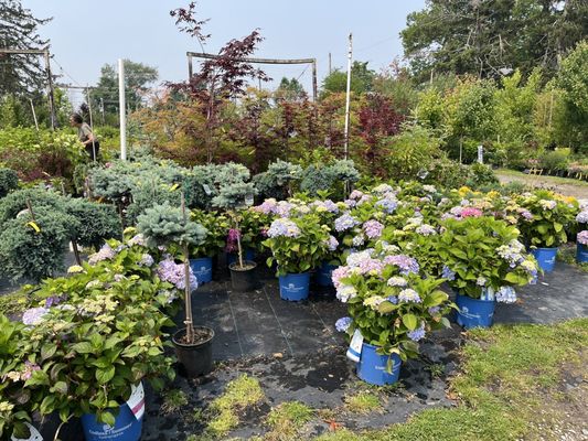 PLATT’S FARM MARKET - Updated December 2025 - 27 Photos & 31 Reviews ...