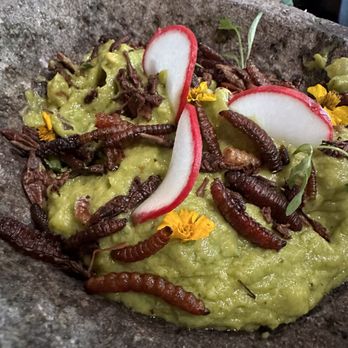 MAIZ Y AGAVE - Updated July 2024 - 439 Photos & 167 Reviews - 375 ...