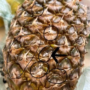 MAR-VAL FOOD STORES - Updated April 2025 - 33 Photos & 32 Reviews ...