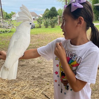 CITY RANCH - Updated October 2025 - 30 Photos - 10884 E County Road 100 ...