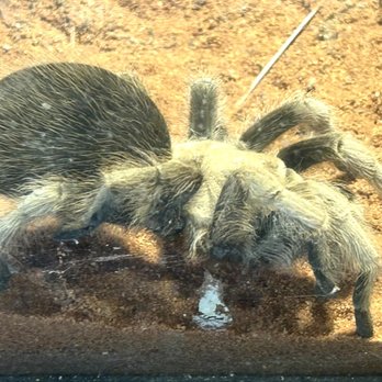 PHOENIX ZOO - Updated December 2024 - 2352 Photos & 1039 Reviews - 455 ...