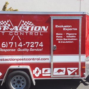 PRO ACTIVE PEST CONTROL - Updated June 2025 - 39 Photos & 448 Reviews ...