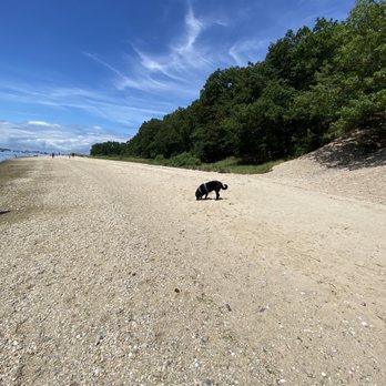 PORT JEFF DOG BEACH - Updated December 2025 - 35 Photos - 12 Buena ...