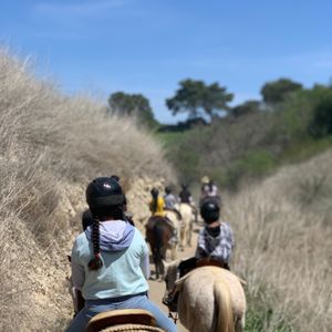 PALOS VERDES HORSE RENTALS - Updated December 2024 - 149 Photos & 104 ...