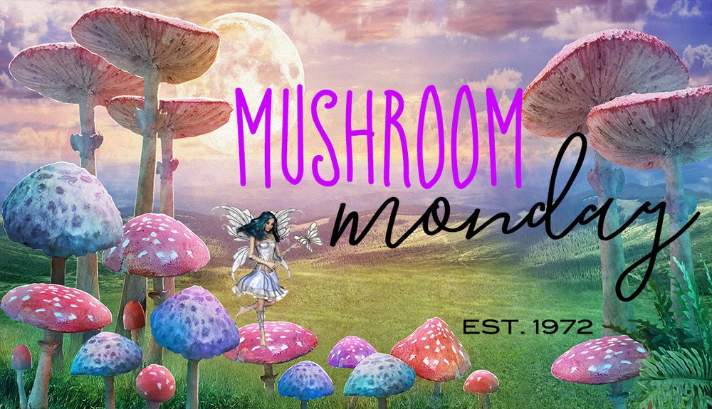 MUSHROOM MONDAY - 937 Manitou Ave, Manitou Springs, Colorado - Souvenir Shops - Phone Number - Yelp